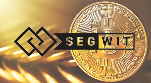 Understanding Segwit: Its Role in the Bitcoin Ecosystem - Blockchain ...